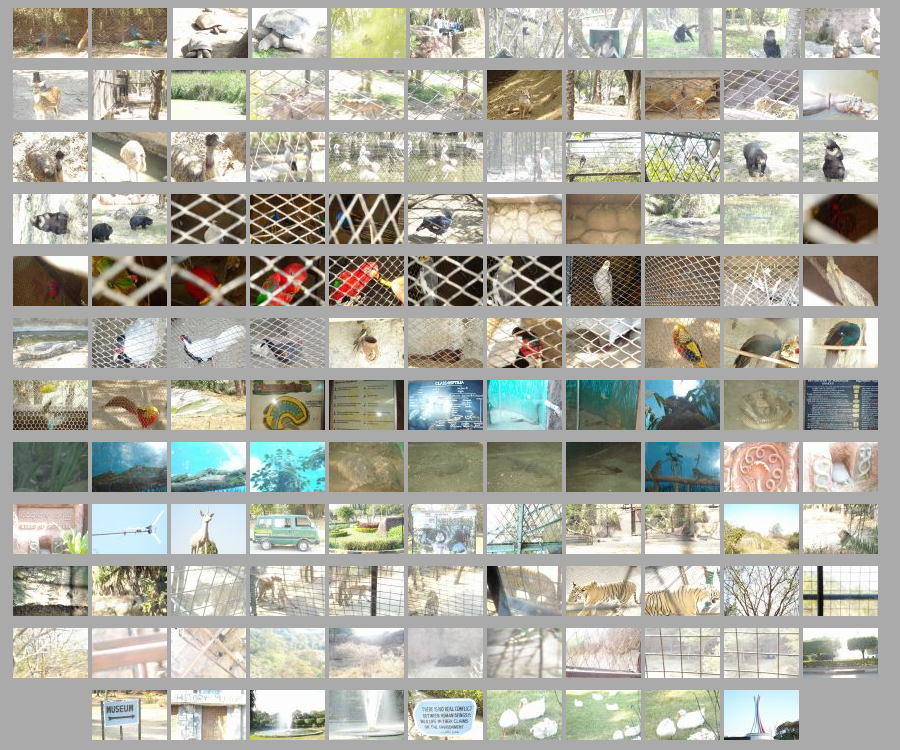 A Visit to Nehru Zoological Park (Zoo), Hyderabad - Team-BHP